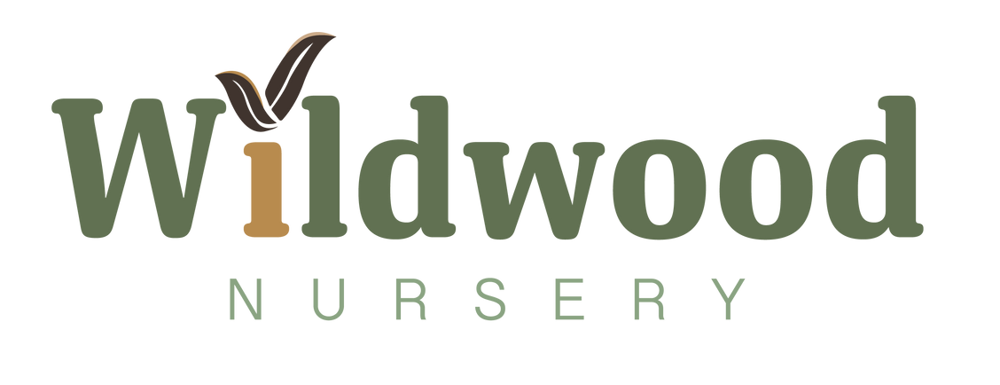 ABOUT — Wildwood Nursery